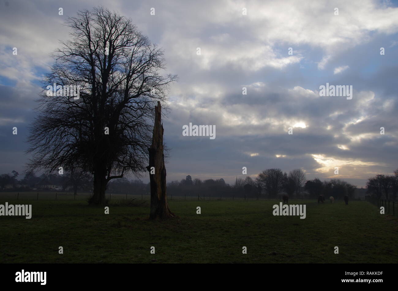 The Macmillan Way. Long-distance trail. Wiltshire. England. UK Stock ...