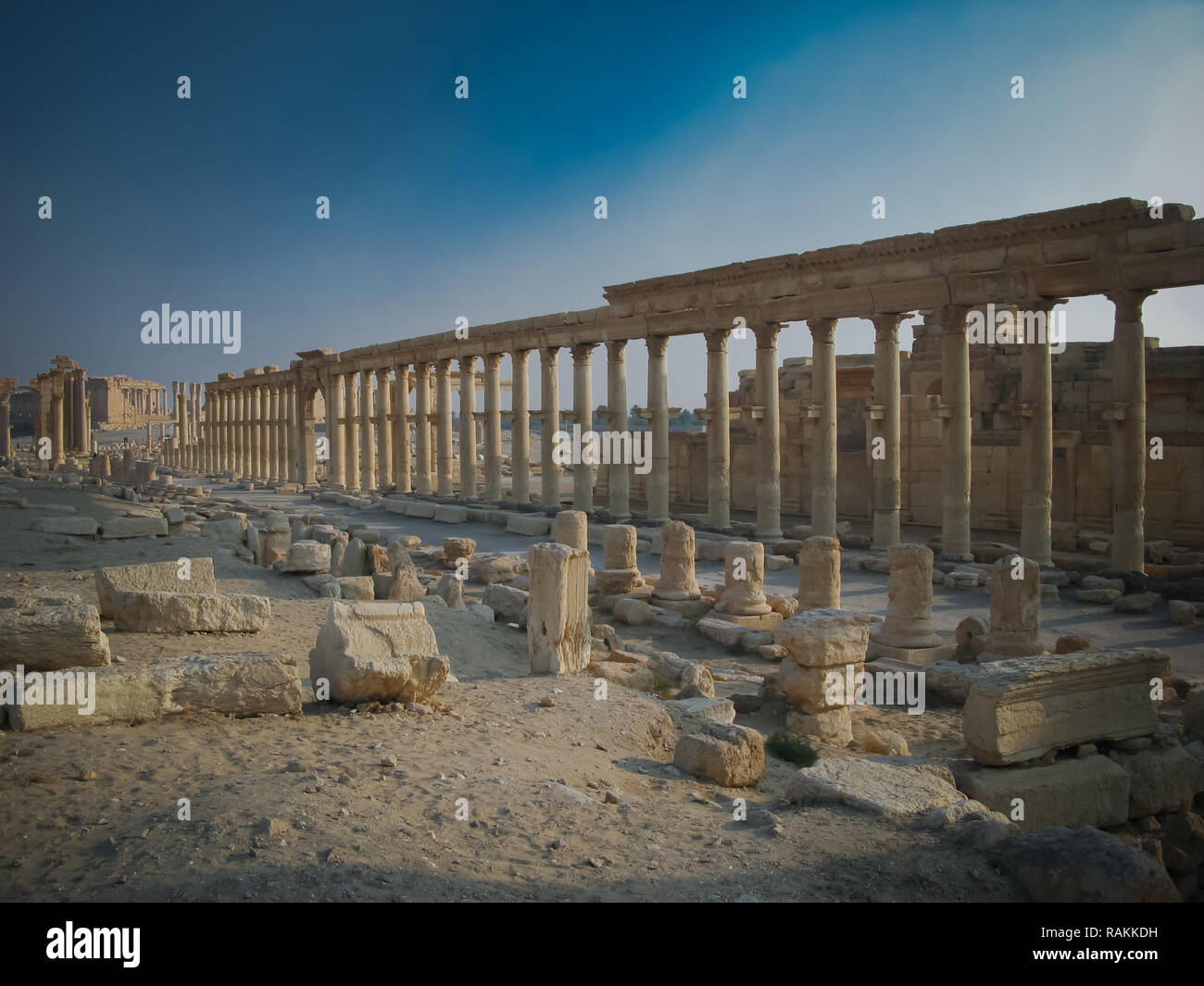 Panorama of Palmyra columns and ancient city, destroyed now by DAESH ...