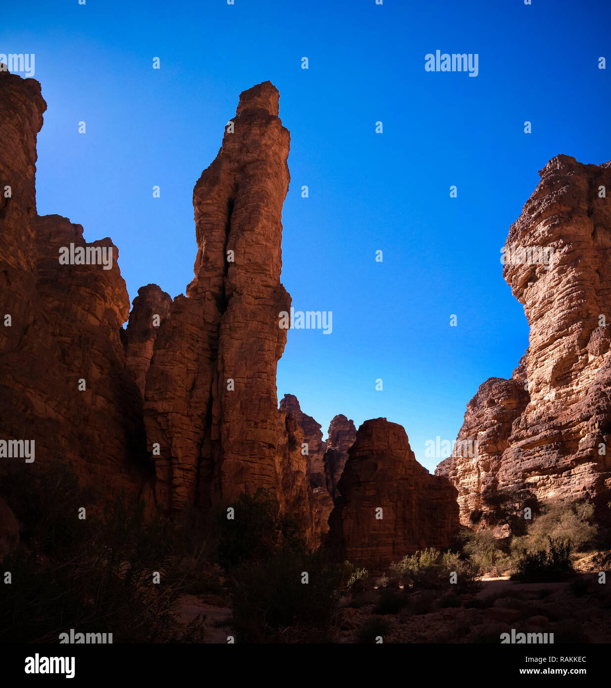 Bizzare rock formation at Essendilene in Tassili nAjjer national park ...