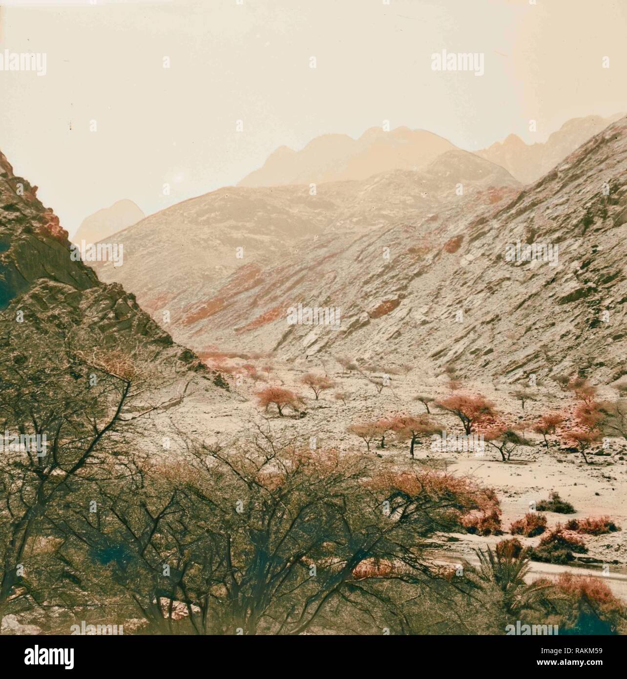 Sinai, Wady Feiran & Wady Alevat. 1898, Egypt, Sinai. Reimagined by ...