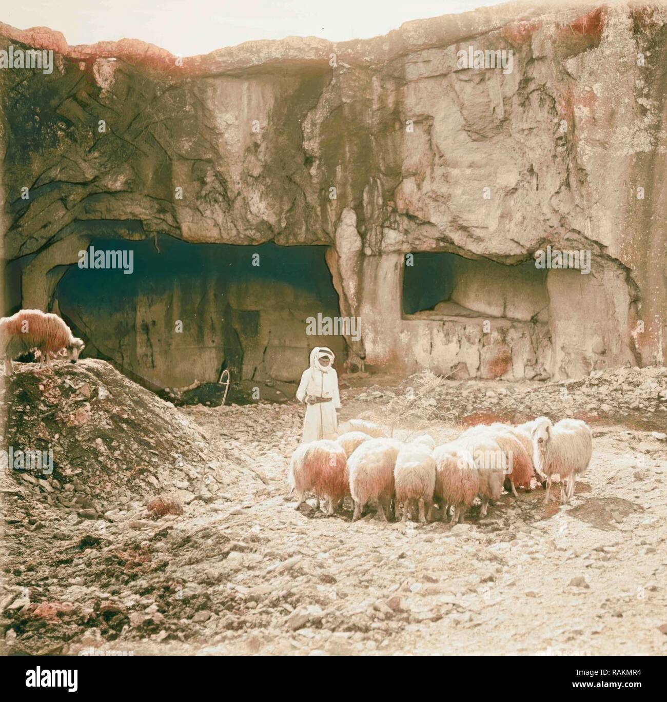 23rd Psalm, sheep 1898, Middle East, Israel and/or Palestine ...