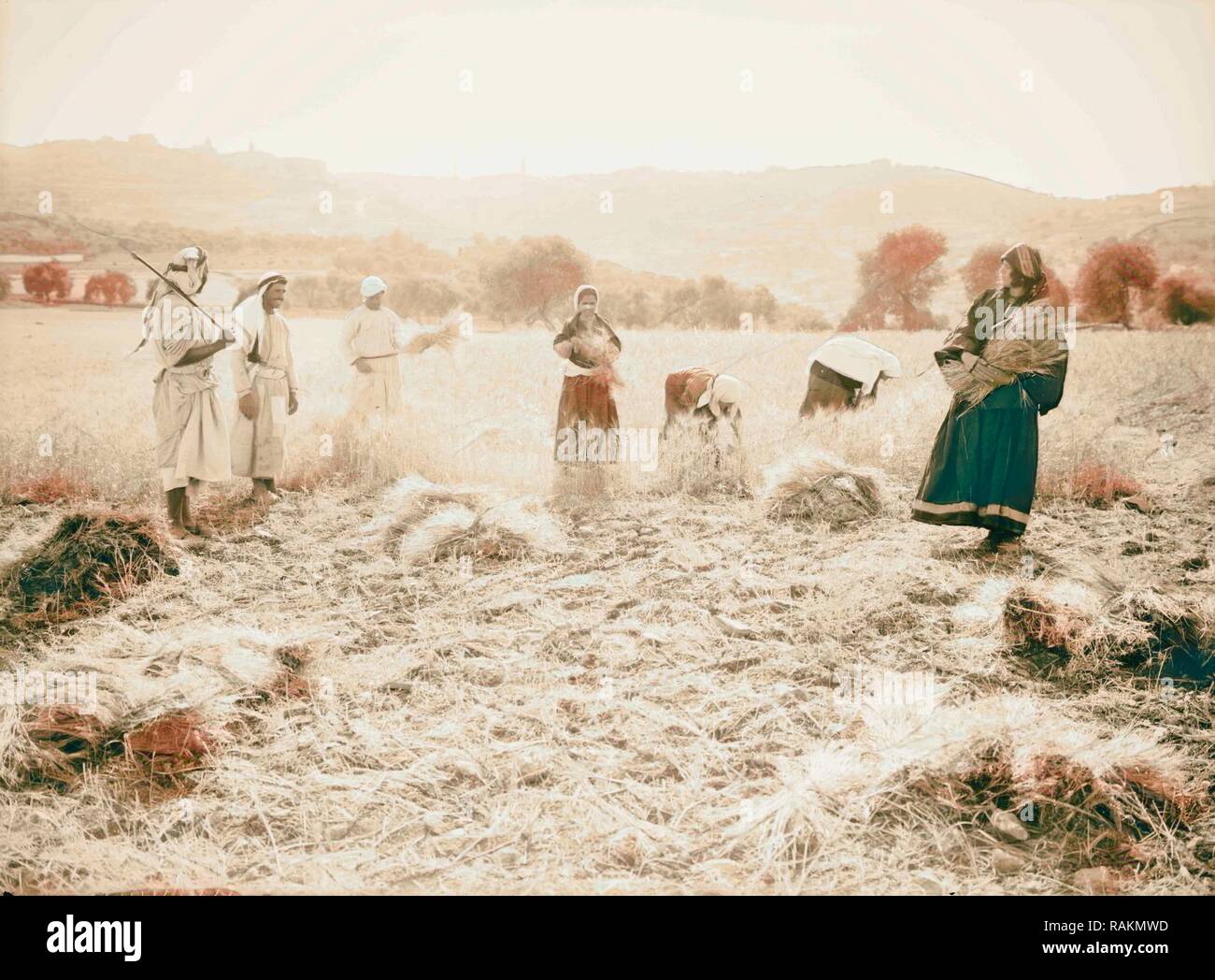 Harvesting and threshing floor scenes in the story of Ruth & Boaz 1898 ...