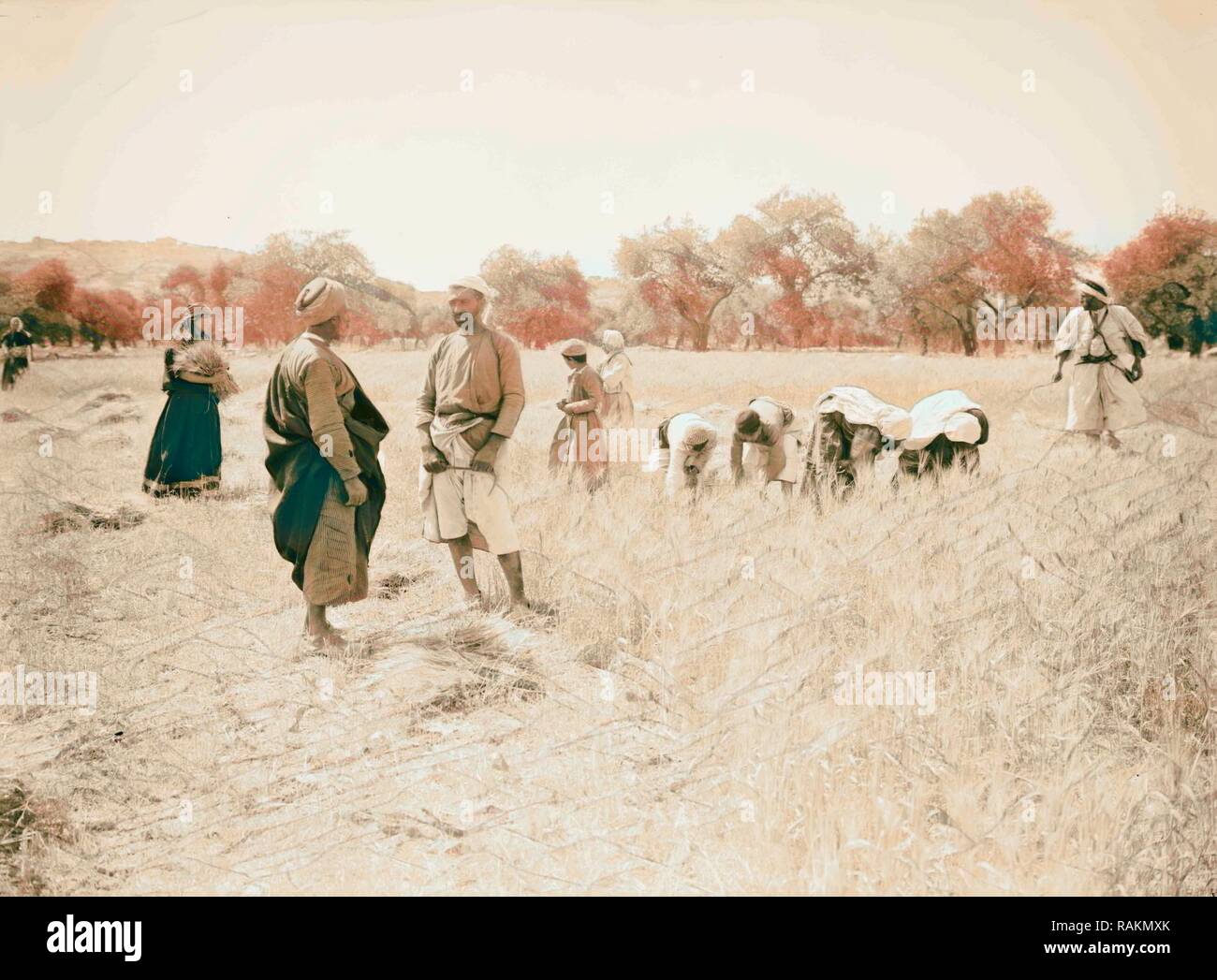 Ruth series, Ruth the Moabitess 1898, Middle East, Israel and/or ...