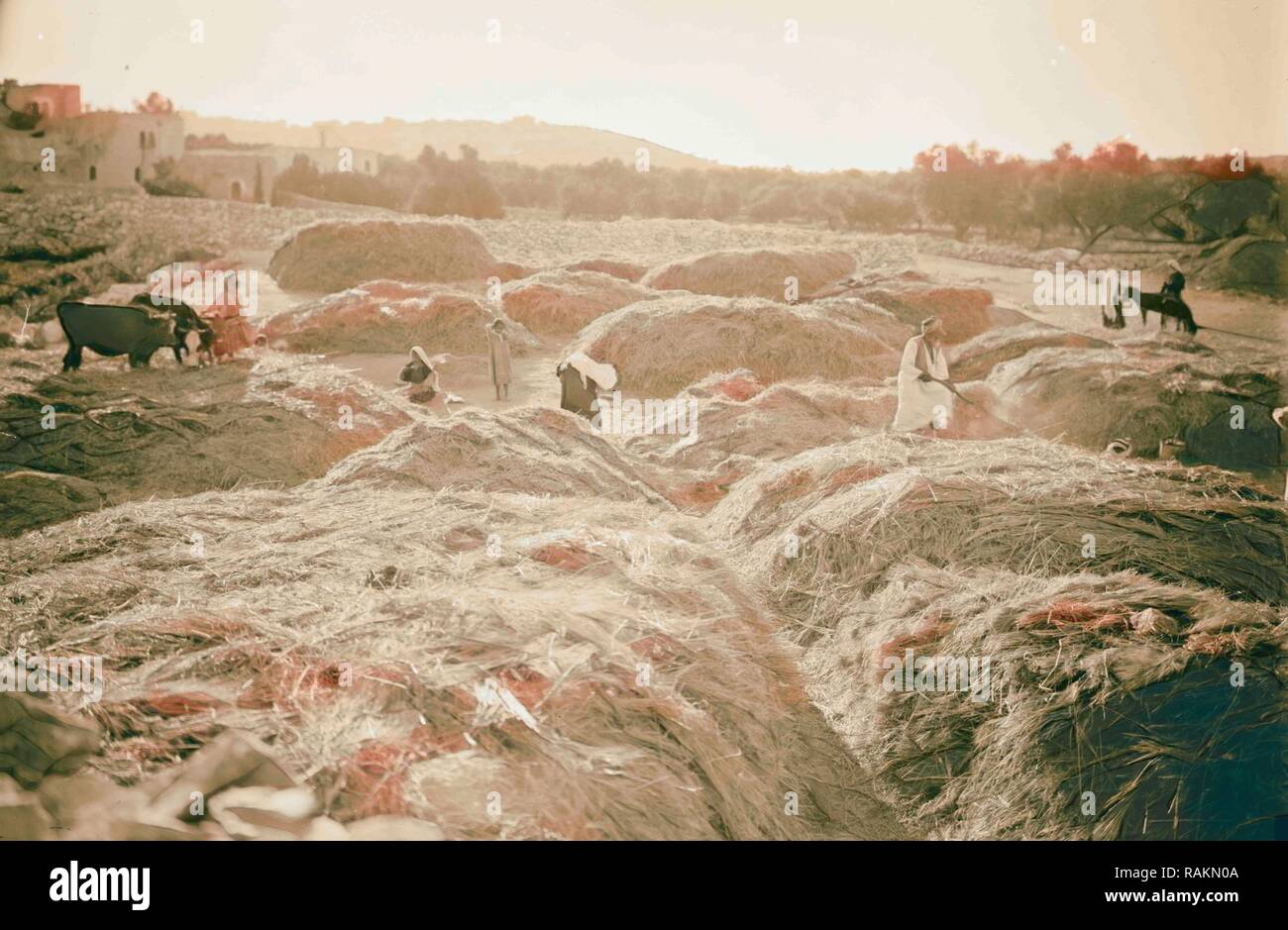Ruth series Threshing floor, winnowing, 1898, Middle East, Israel and ...