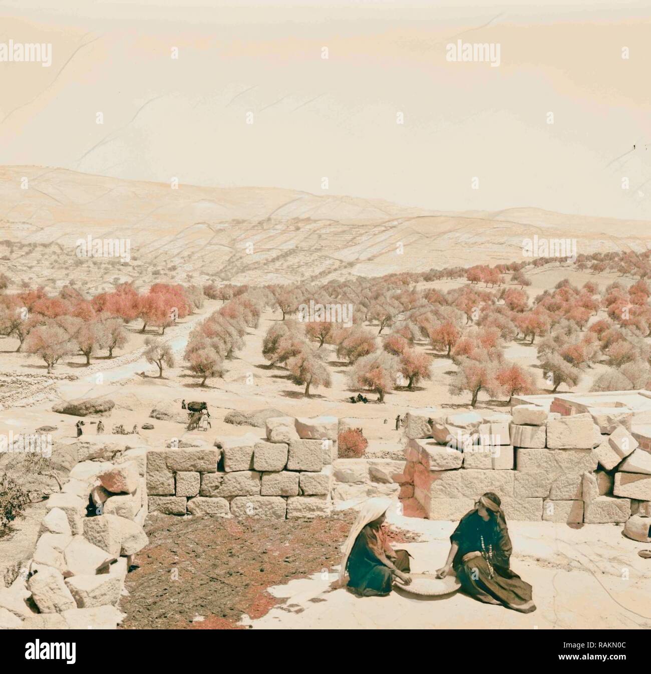 Ruth series Threshing floor, winnowing, 1898, Middle East, Israel and ...