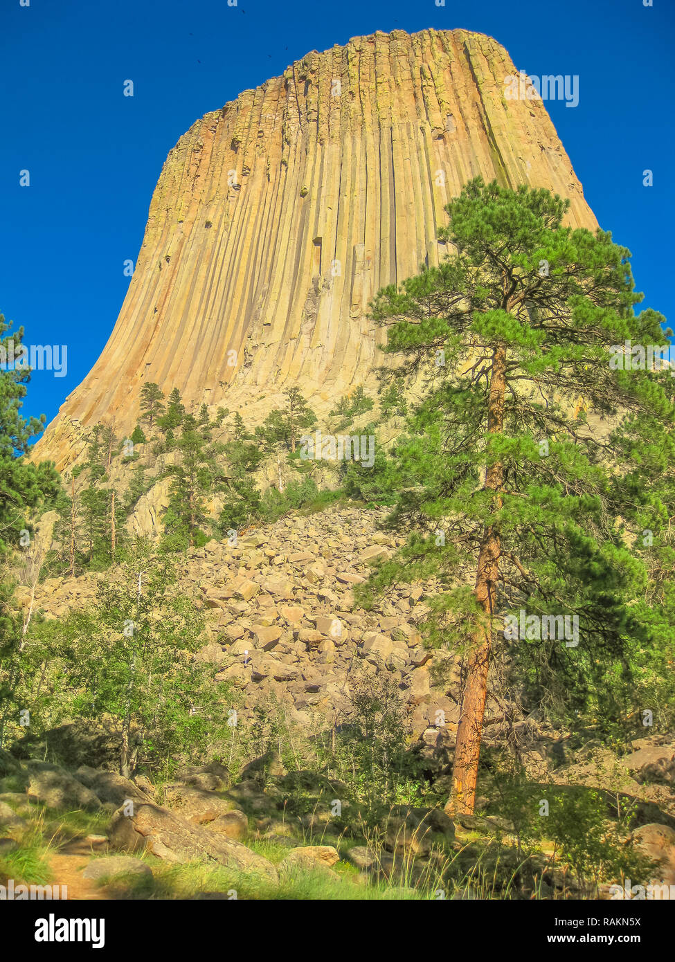 Climbing devils tower hi-res stock photography and images - Alamy