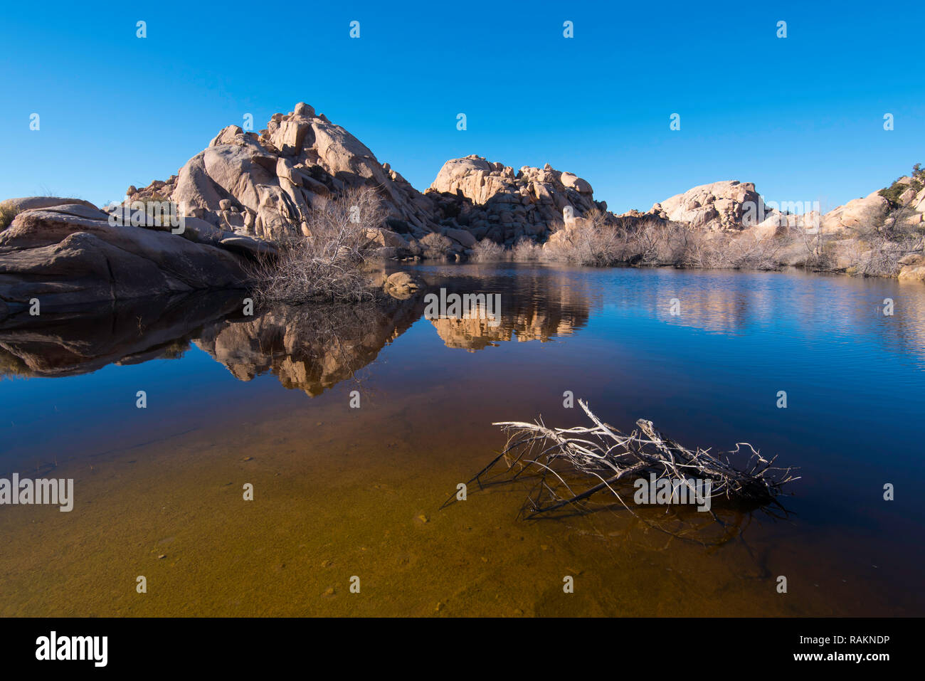 Water hole in desert hi-res stock photography and images - Alamy