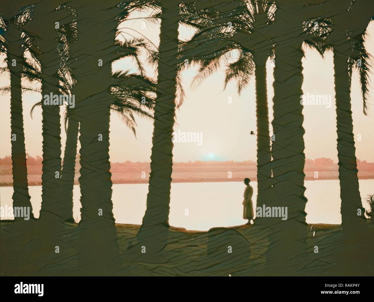River scenes on the Euphrates taken at Hilla. Sunrise through a palm ...