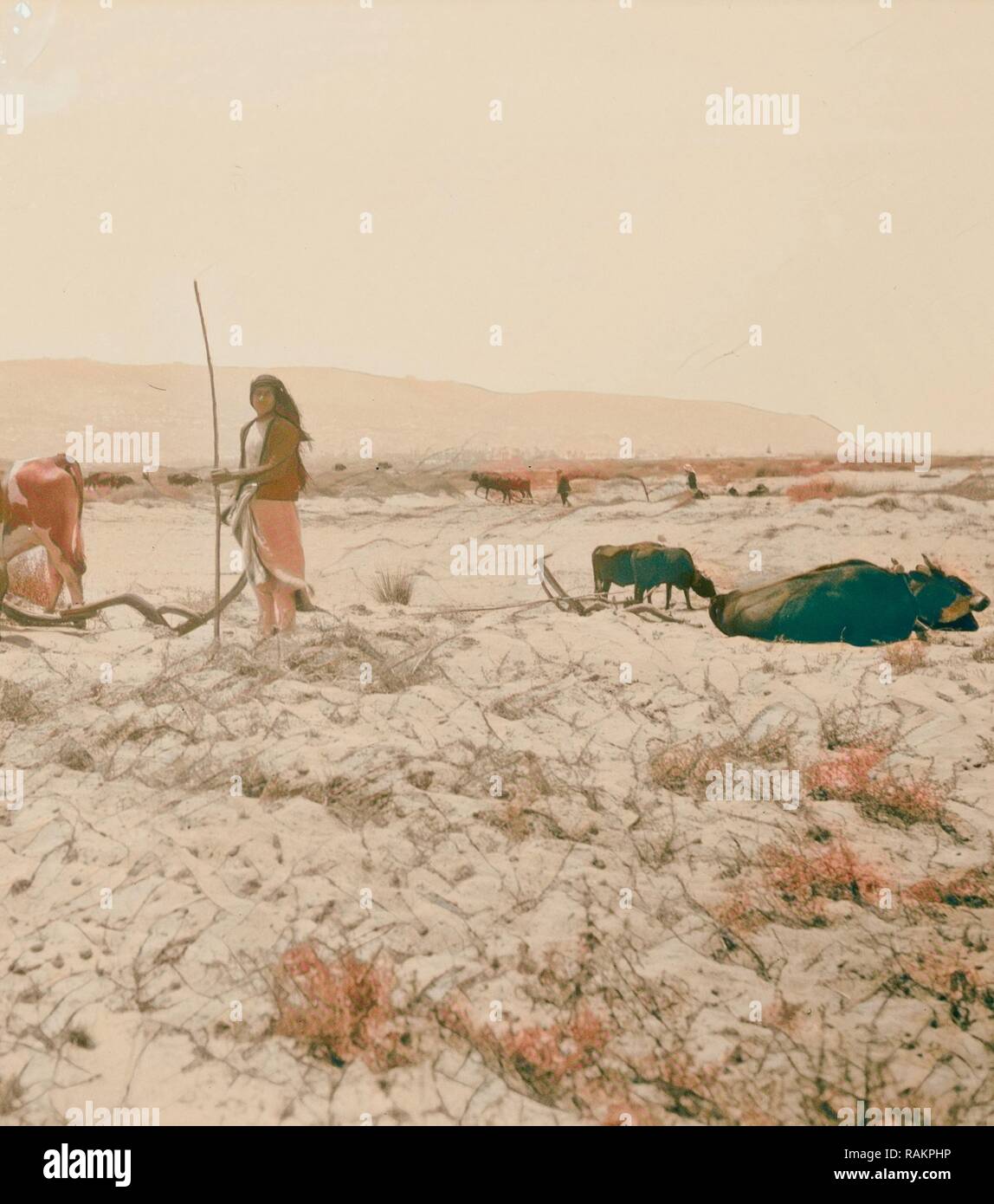 Locust plague 1925, Middle East. Reimagined by Gibon. Classic art with ...