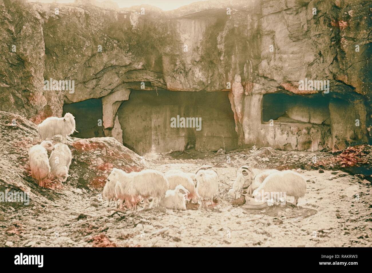 shepherd life illustrating the Twenty-Third Psalm 'Thou preparest a ...