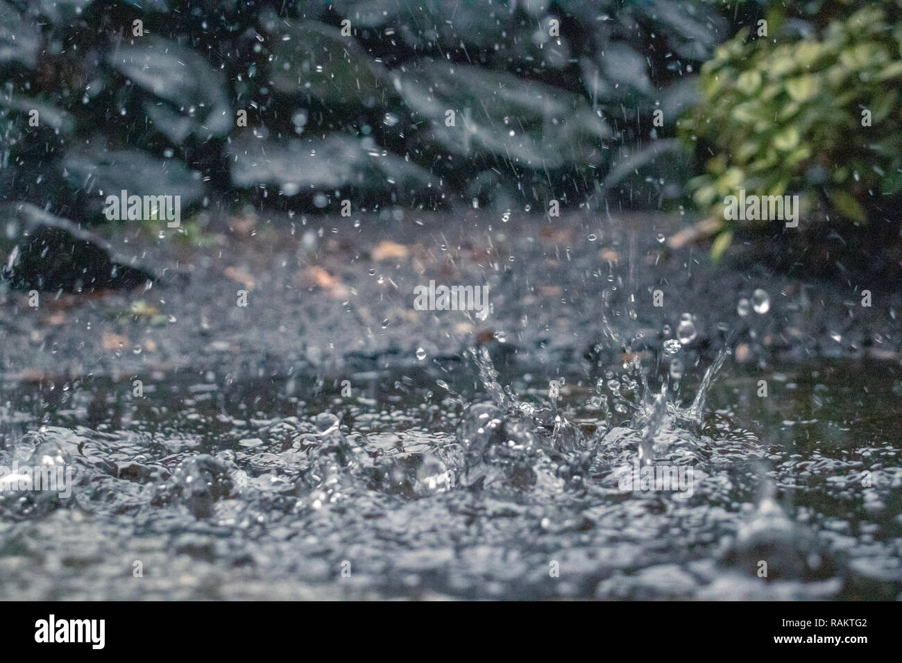 Rain splash hi-res stock photography and images - Alamy