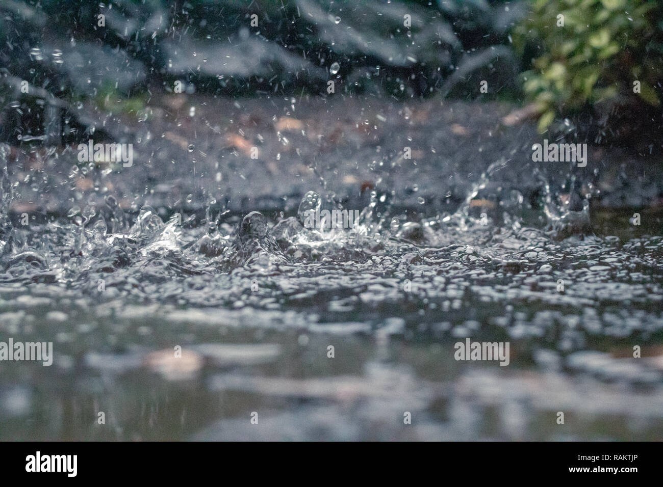 Rain splash hi-res stock photography and images - Alamy