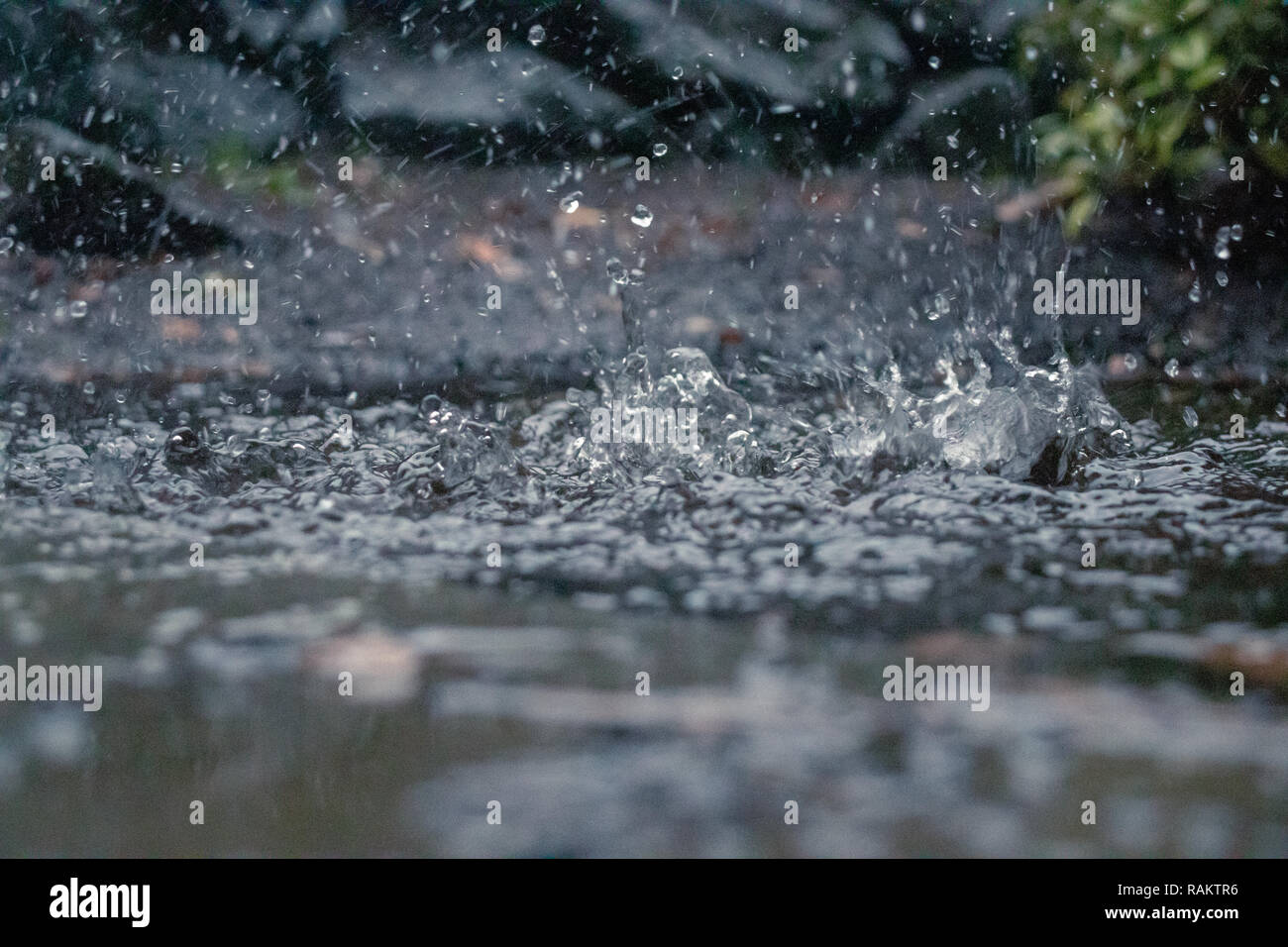 Rain splash hi-res stock photography and images - Alamy