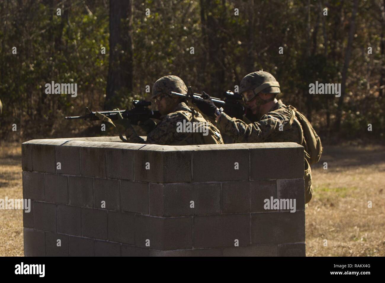 Marines with 2nd Law Enforcement Battalion participate in a grenade ...