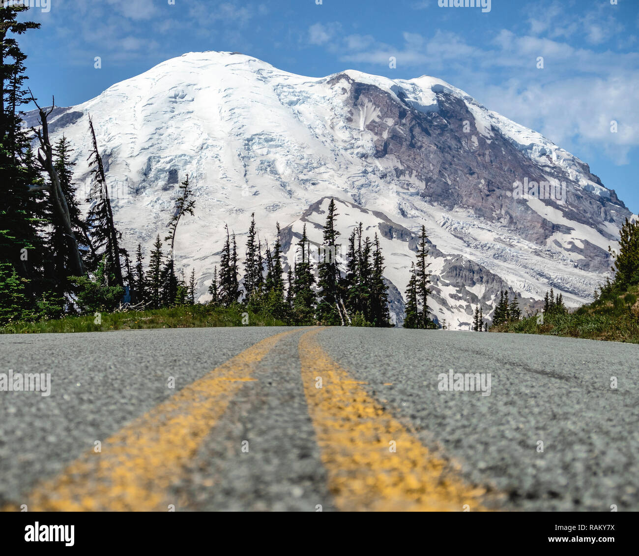 Treet trees hi-res stock photography and images - Alamy
