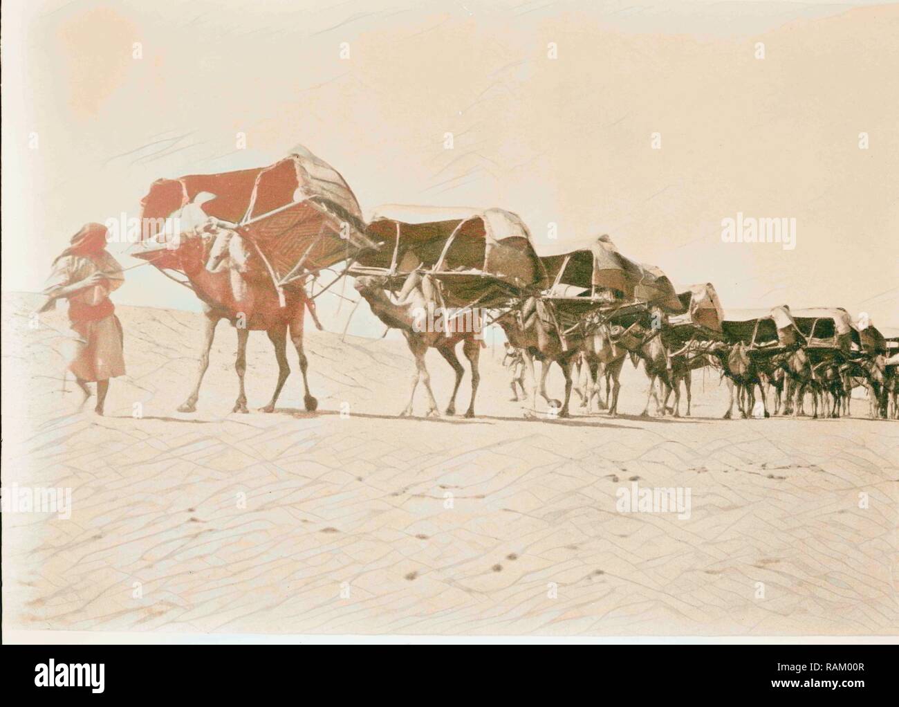 Mecca, ca. 1910. Camel caravan of pilgrims to Mecca. 1910, Saudi Arabia ...