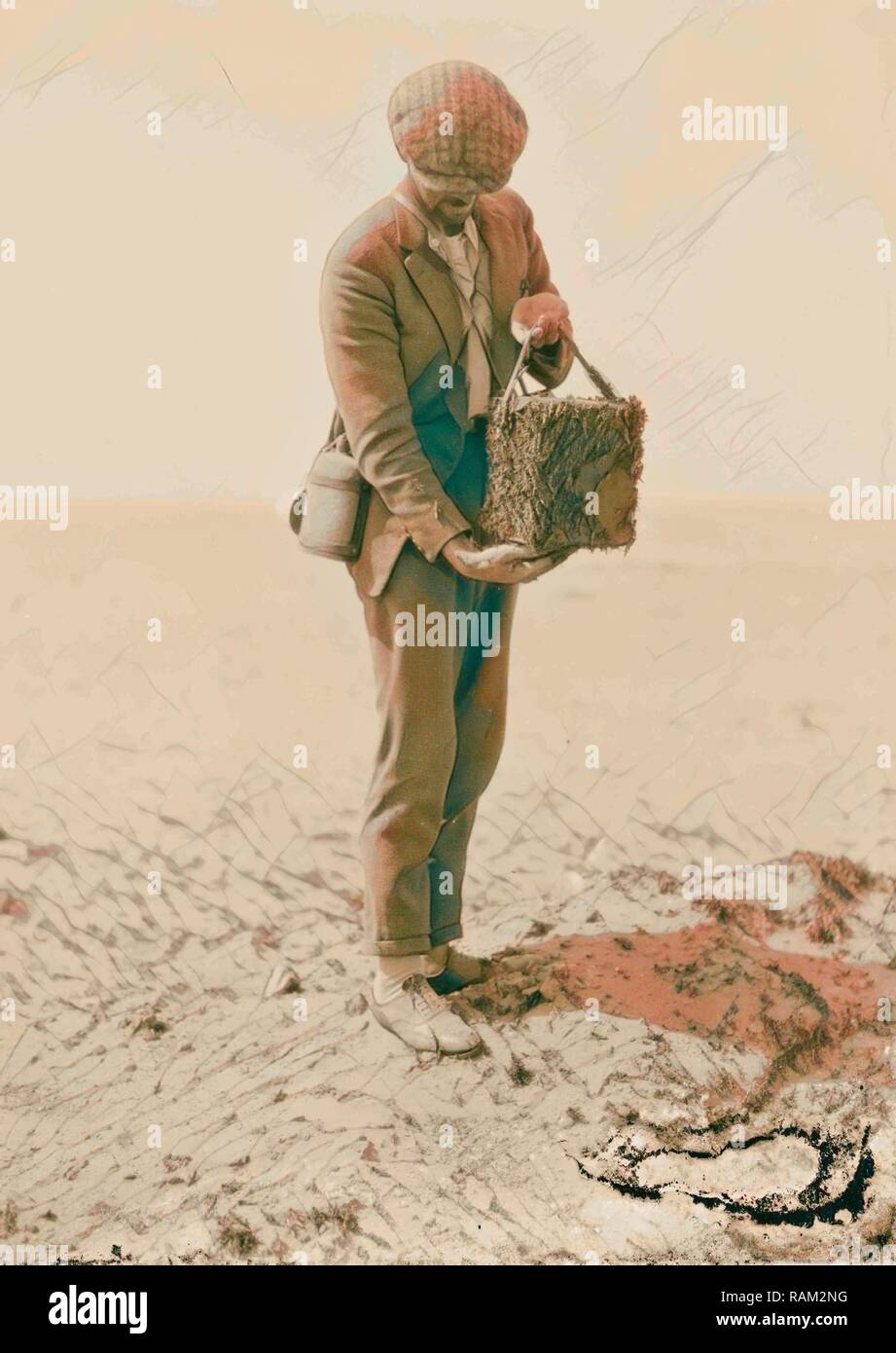 Locust plague. 1898, Middle East, Israel and/or Palestine. Reimagined ...