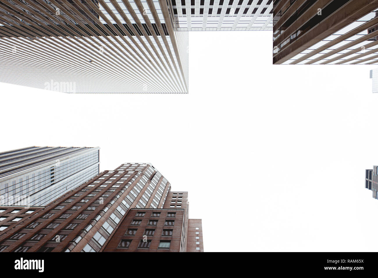 bottom view of skyscrapers and clear sky in new york city, usa Stock ...