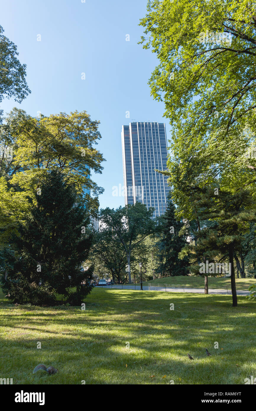 urban scene with trees in city park and skyscrapers in new york, usa ...