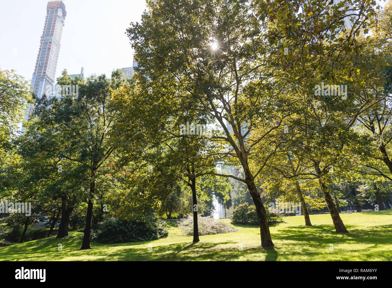 urban scene with trees in city park and skyscrapers in new york, usa ...