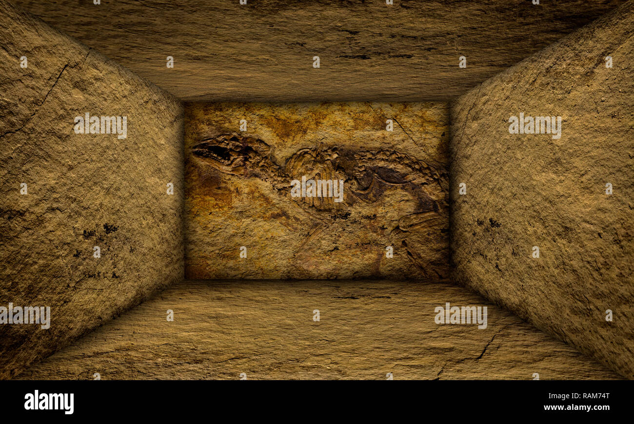 Abstract Urban Interior Prehistoric Fossil on Walls Stage Photo Stock ...