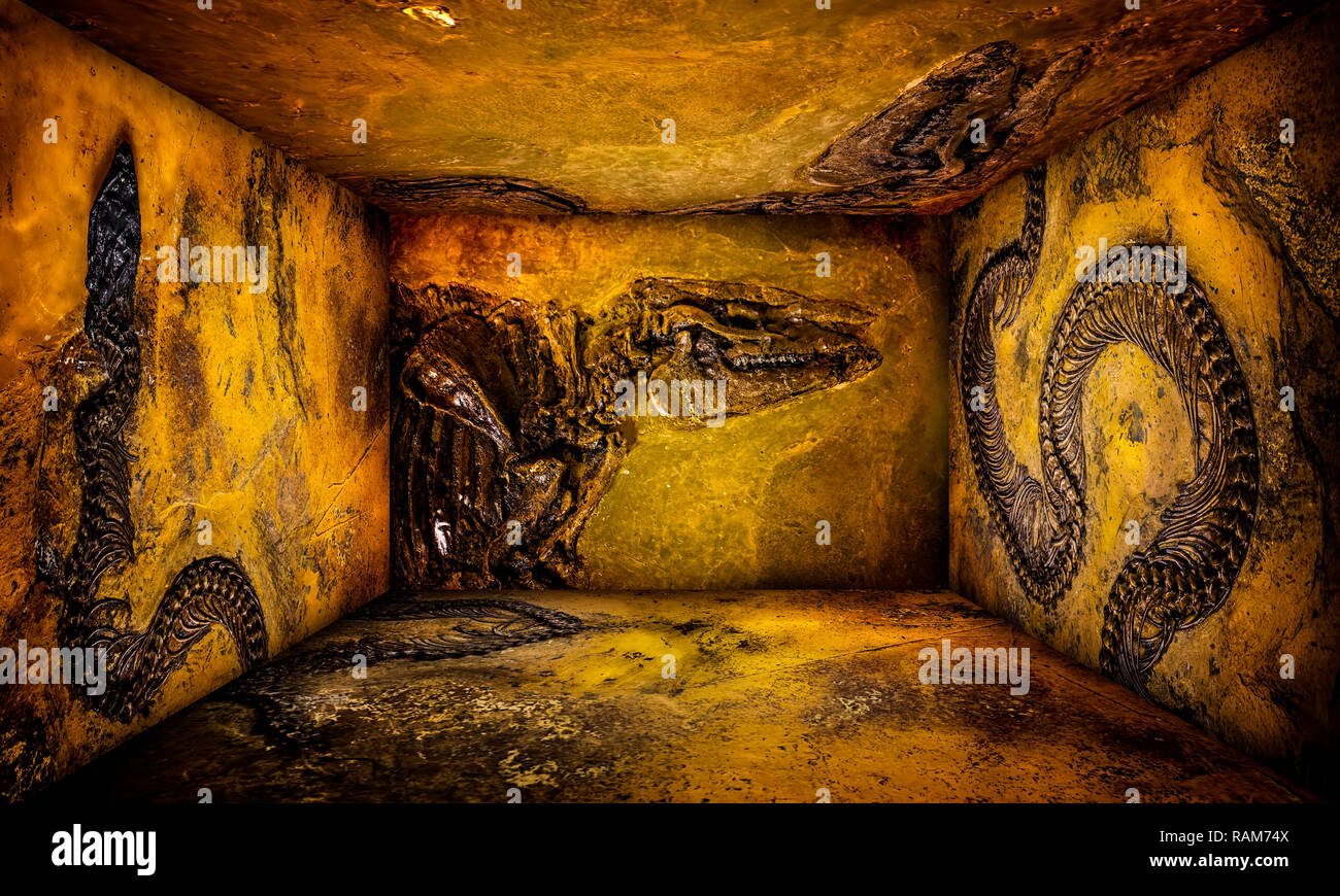 Abstract Urban Interior Prehistoric Fossil on Walls Stage Photo Stock ...