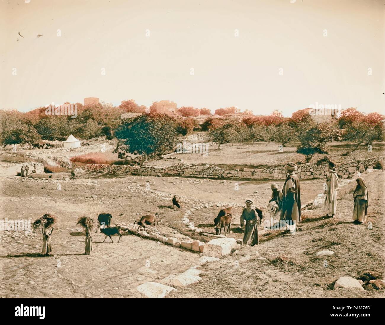 Typical Palestinian village. 1898, Middle East, Israel and/or Palestine ...