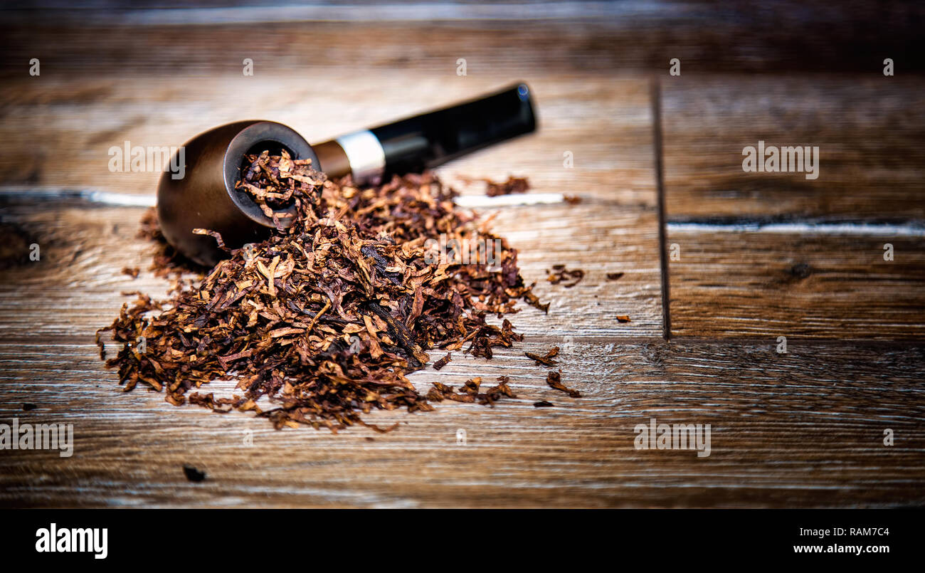 Unhealthy Addiction Nicotine Tobacco Pipe Cigar Photo Stock Photo - Alamy