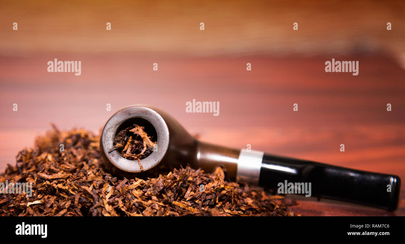 Unhealthy Addiction Nicotine Tobacco Pipe Cigar Photo Stock Photo - Alamy