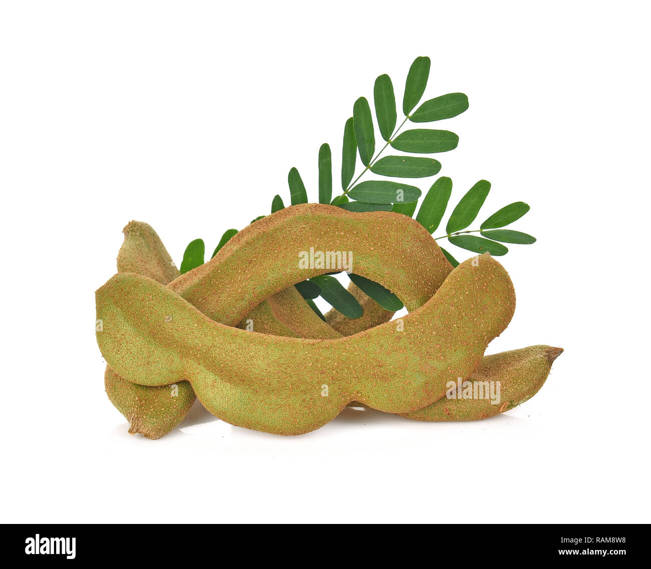 Young Tamarind High Resolution Stock Photography and Images - Alamy