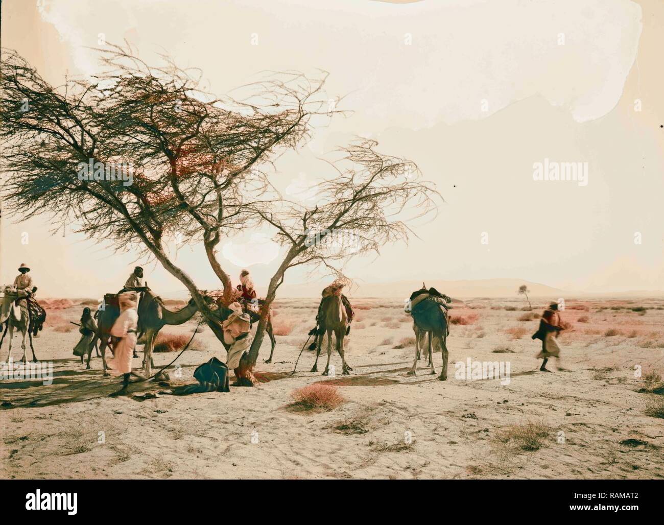 Sinai. Caravan in the heart of the desert of el-Ka'a (Wilderness of Sin ...