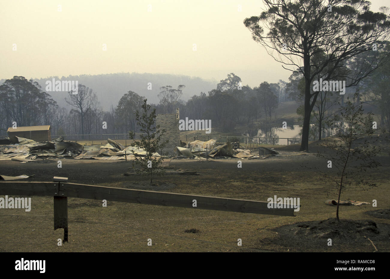 AFTERMATH OF SYDNEY BUSHFIRES SHOWING THE REMAINS OF ONE OF THE MANY ...