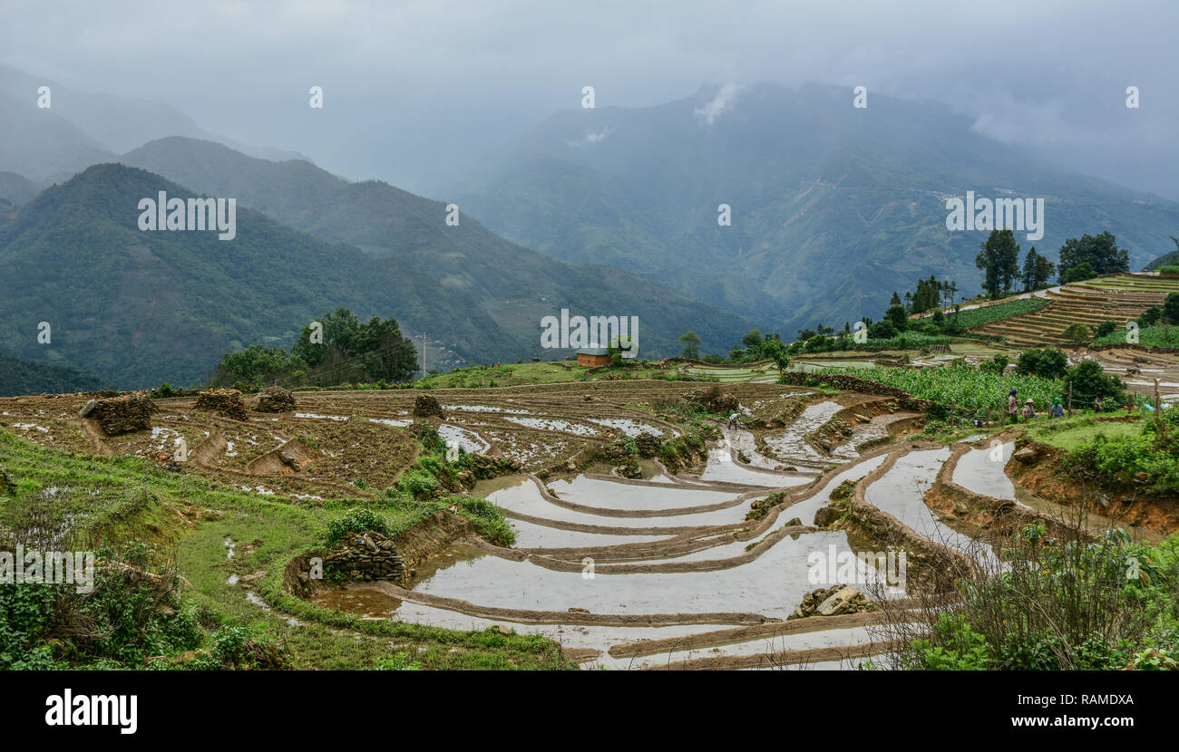 Royalty high-quality free stock image of beautiful terraced rice fields ...