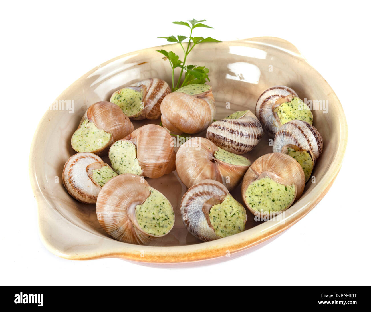 stuffed snails in front of white background Stock Photo - Alamy
