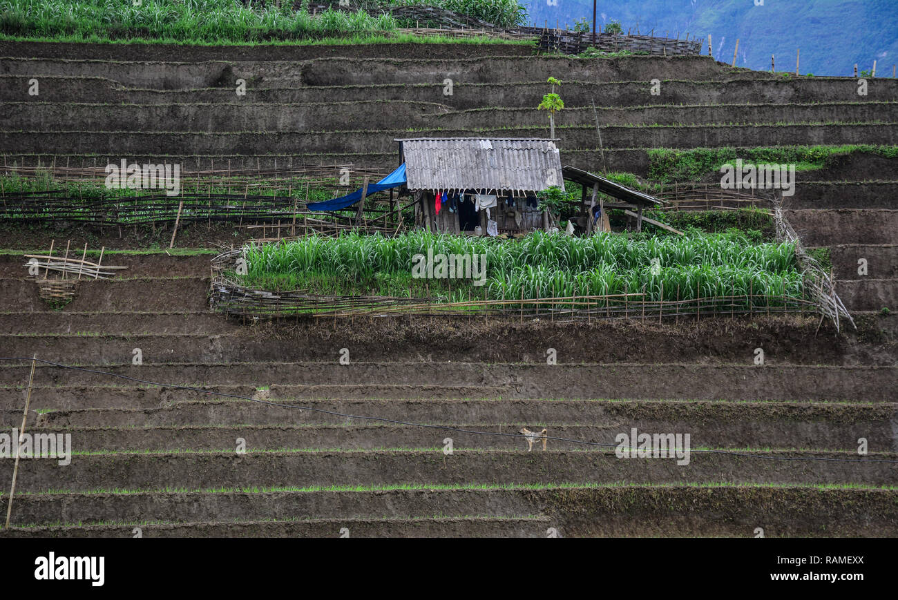 Vietnamese traditional house at mountain village in Northern Vietnam ...