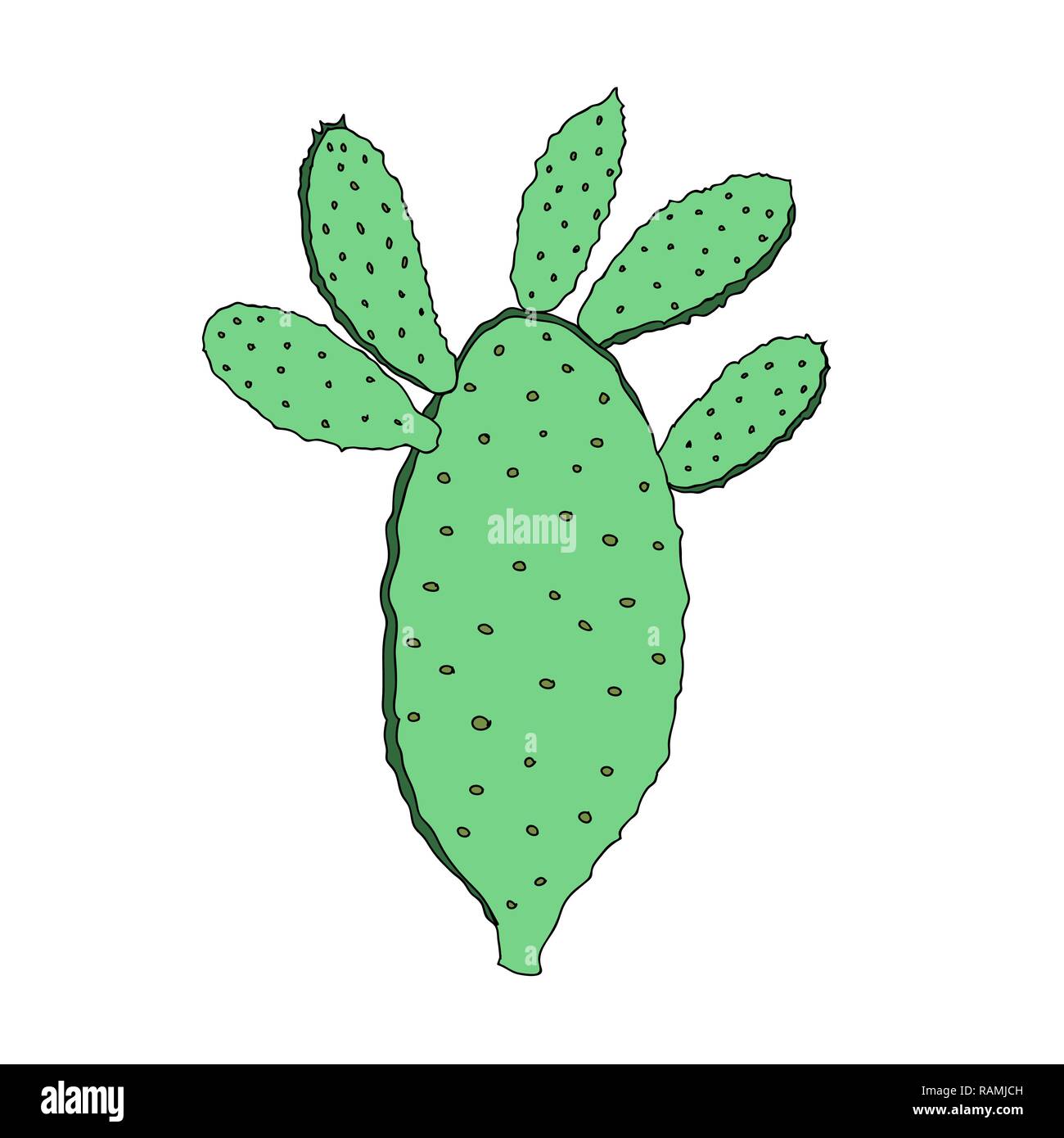 Stem Vegetable, Illustration Hand Drawn Sketch Isolated on White ...