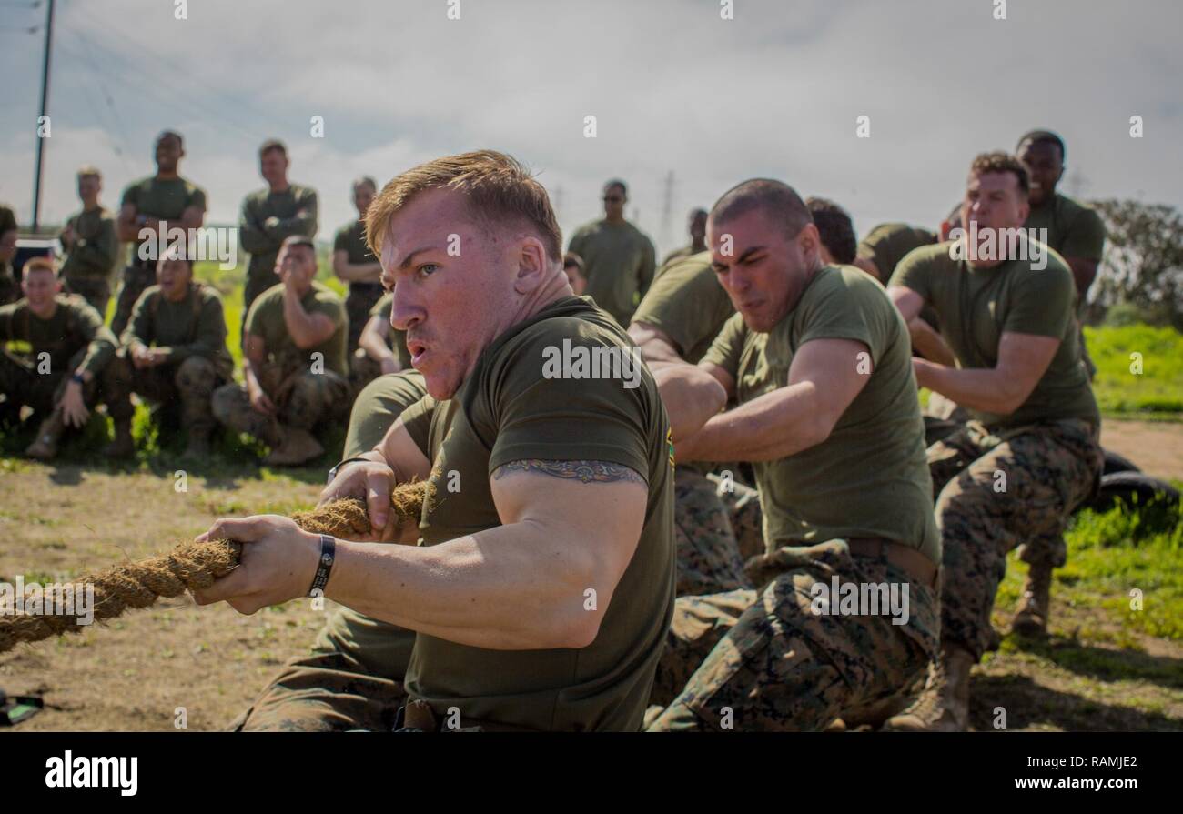 U.S. Marines with 3d Low Altitude Air Defense Battalion, Marine Air ...