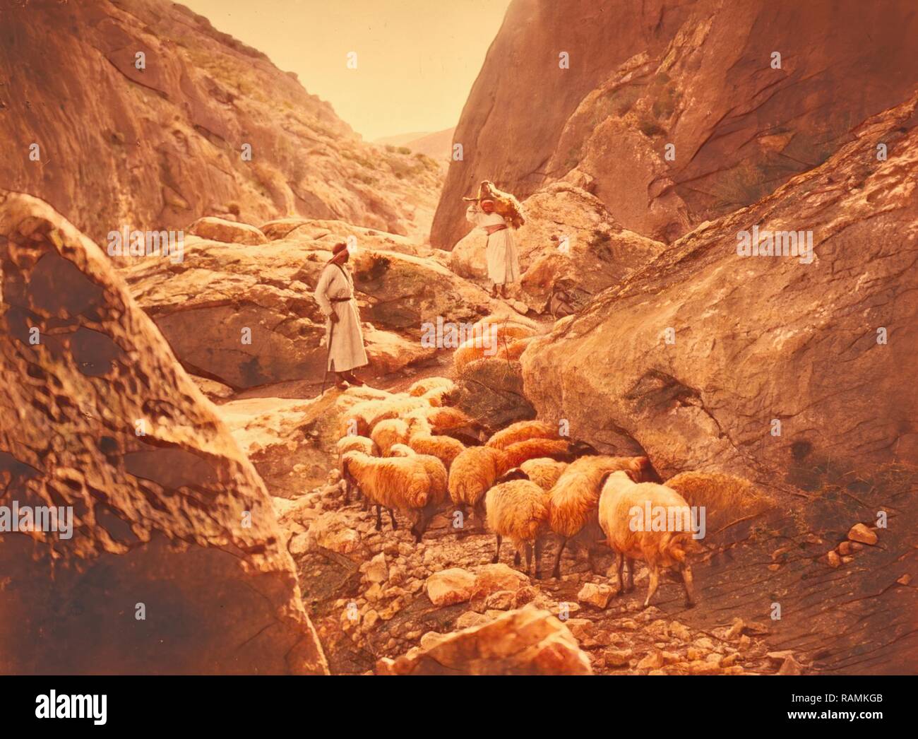 shepherd life illustrating the Twenty-Third Psalm 'Surely goodness and ...