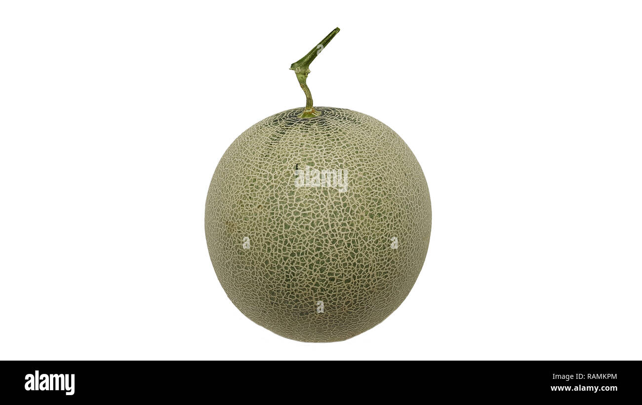 The green melon isolated on a white background Stock Photo - Alamy
