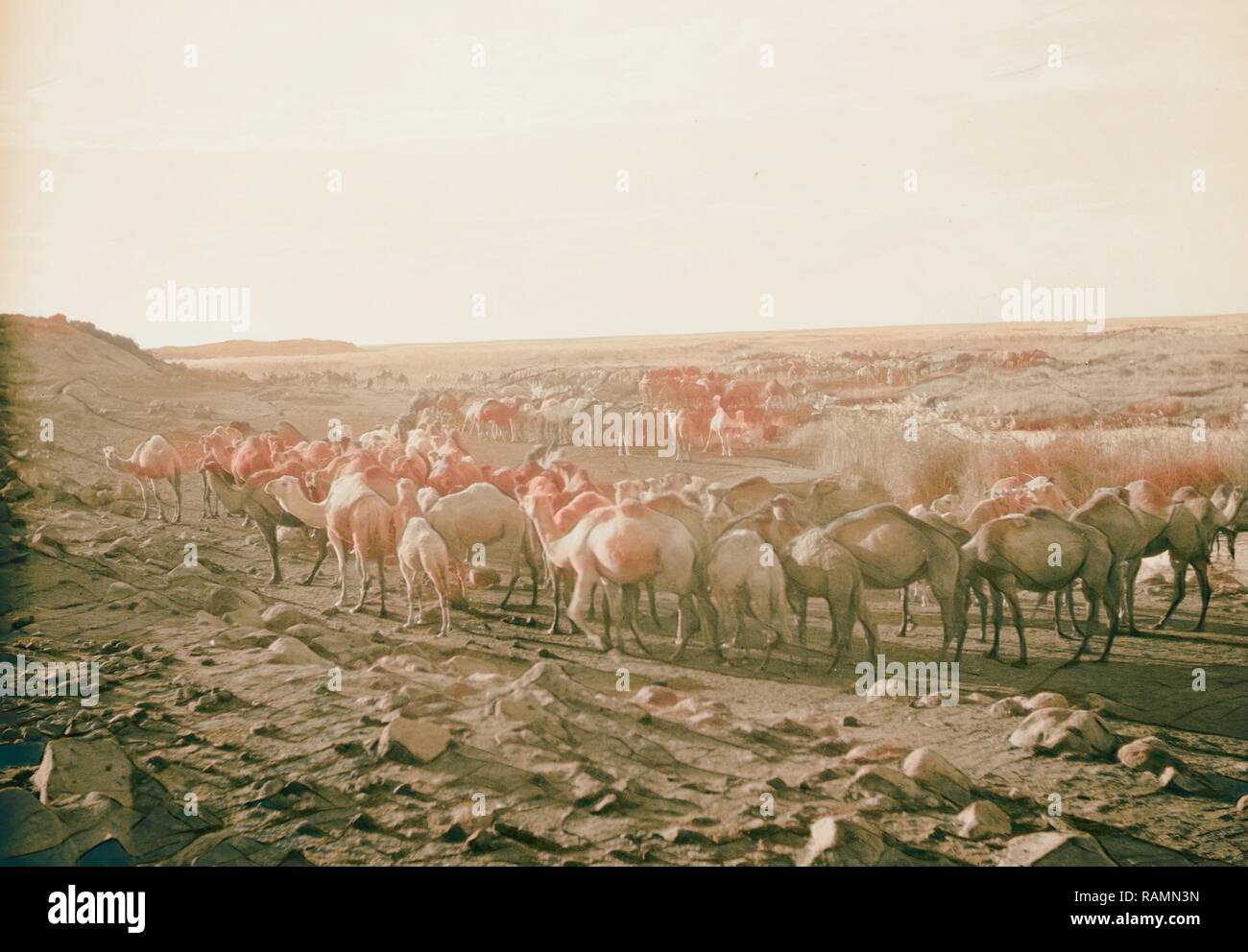 El-Azrak & Wadi Sirhan in the Arabian Desert. Druze political refugees ...