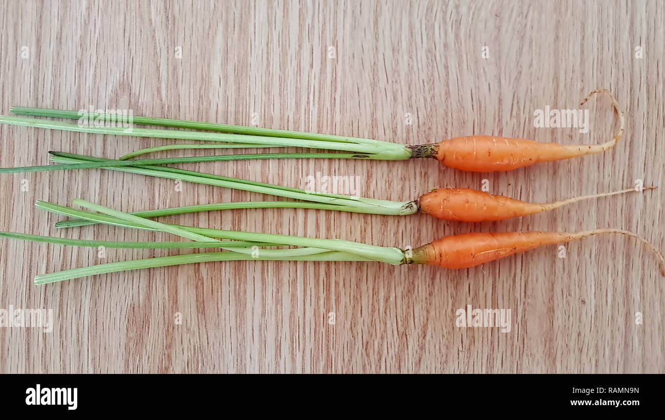 The baby carrot on the chopping block Stock Photo - Alamy