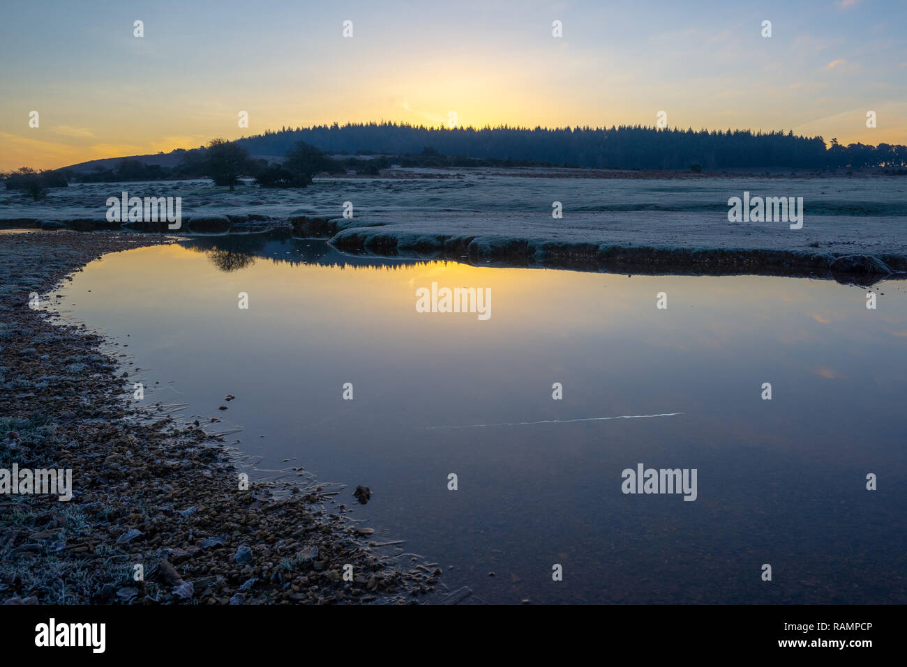 Frosty landscape with water. Ogdens, Frogham, Fordingbridge, New Forest ...