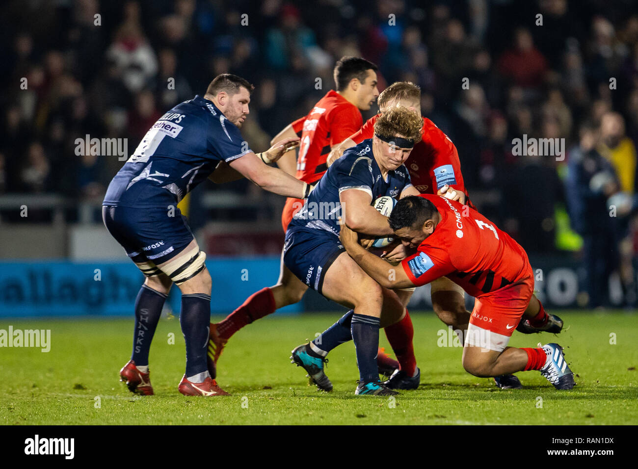 Mako sharks hi-res stock photography and images - Alamy
