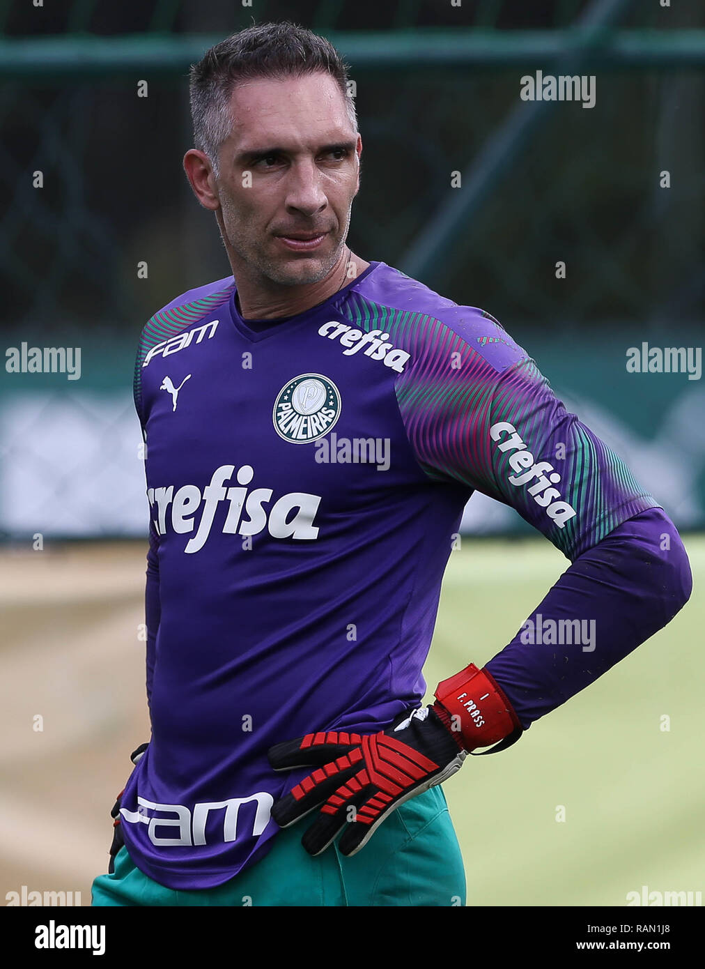 SÃO PAULO, SP - 04.01.2019: TREINO DO PALMEIRAS - Goalkeeper Fernando ...