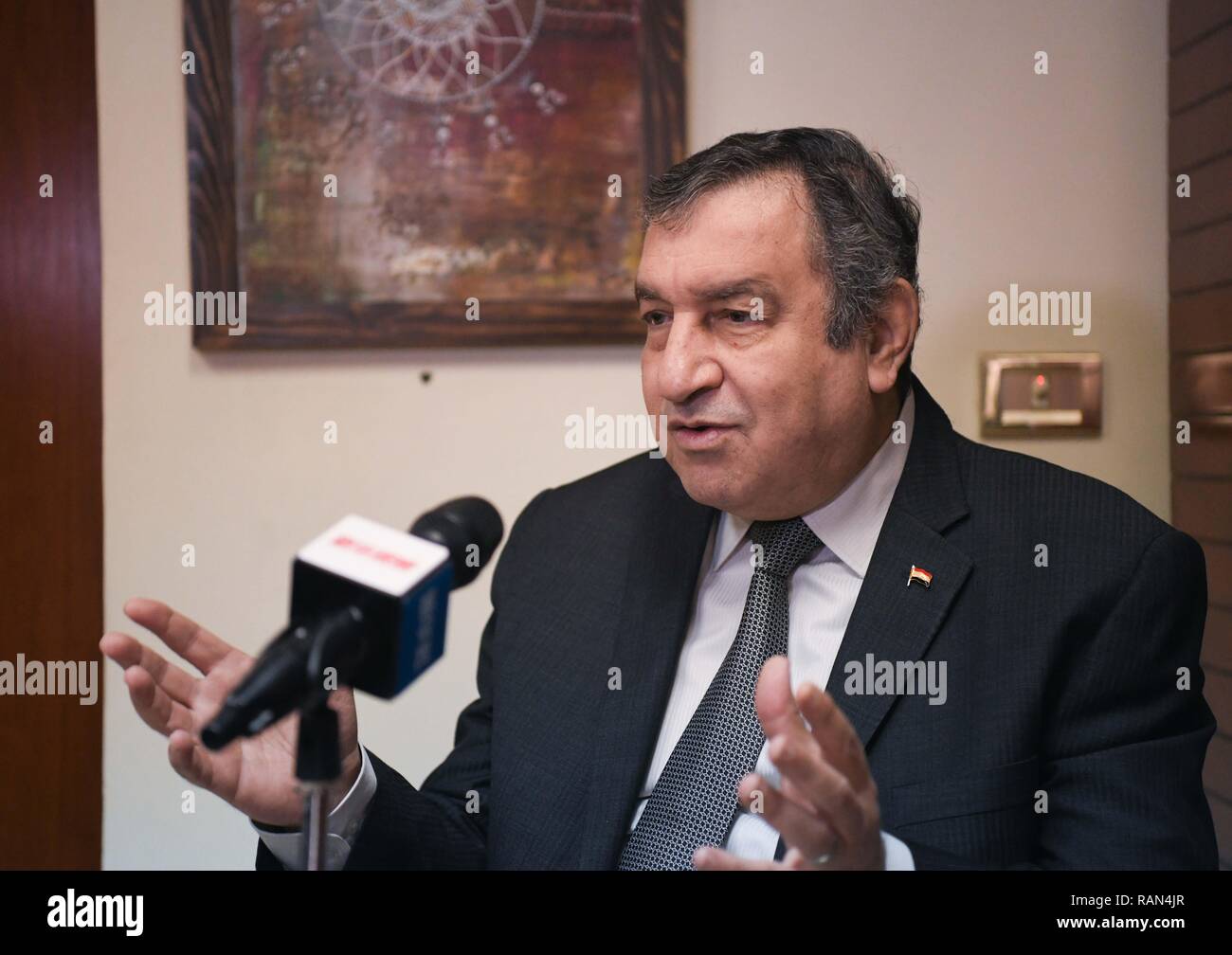 Cairo, Egypt. 30th Dec, 2018. Essam Sharaf, former Egyptian Prime ...