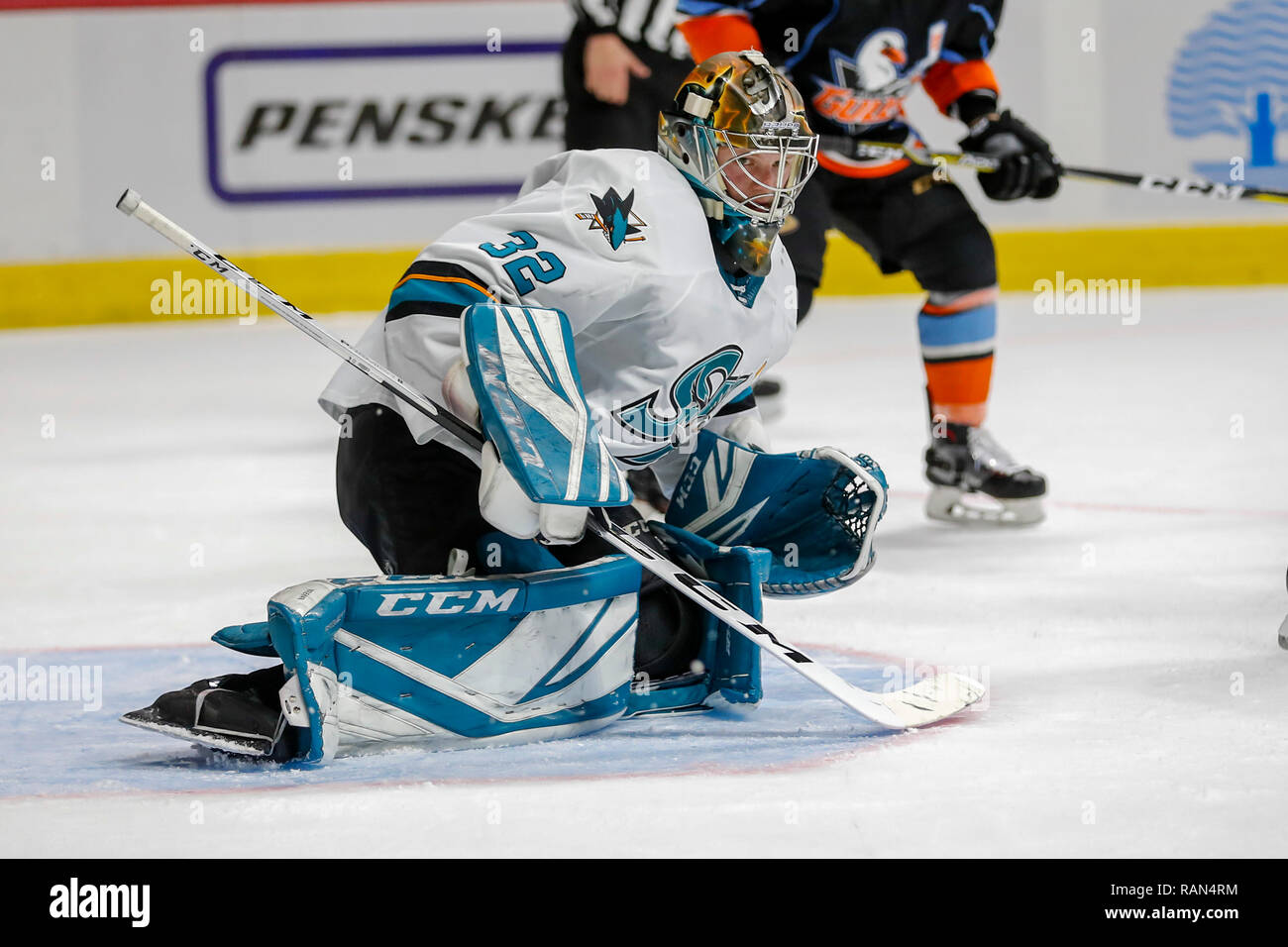 San jose barracuda hi-res stock photography and images - Alamy