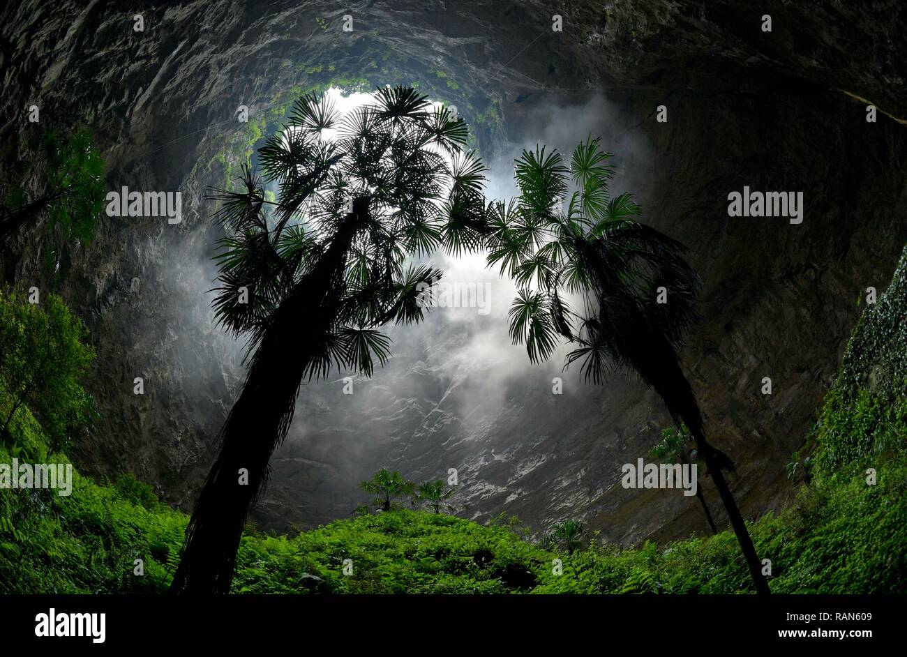 Tiankeng hi-res stock photography and images - Alamy