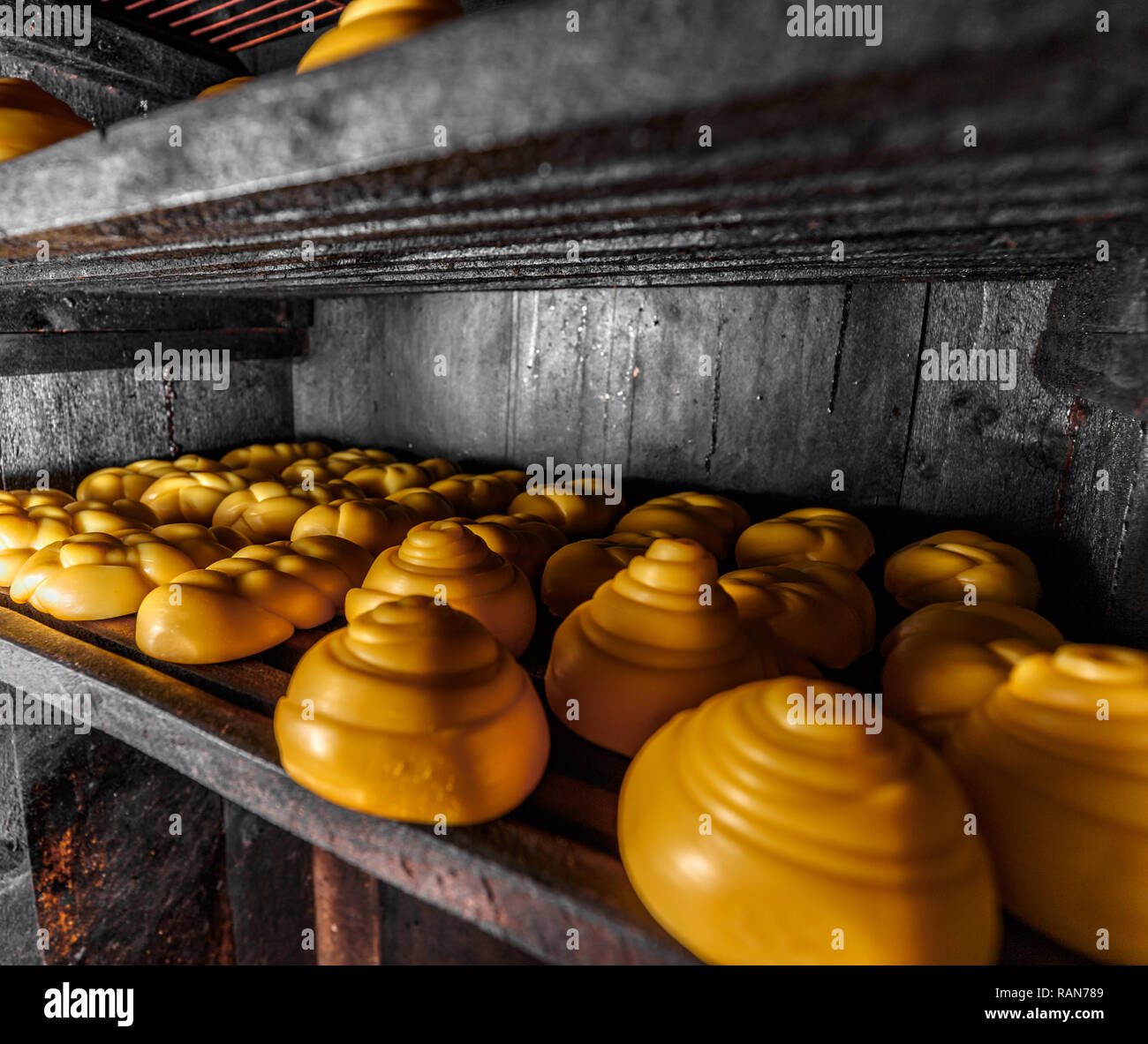 Braided tasty gold cheese in smokehouse Stock Photo - Alamy