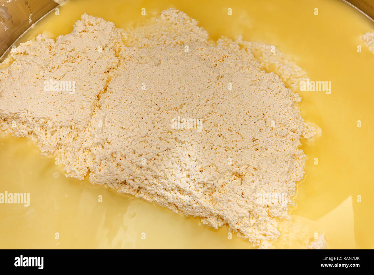 Freshly fermented cheese being moved on during production process Stock ...