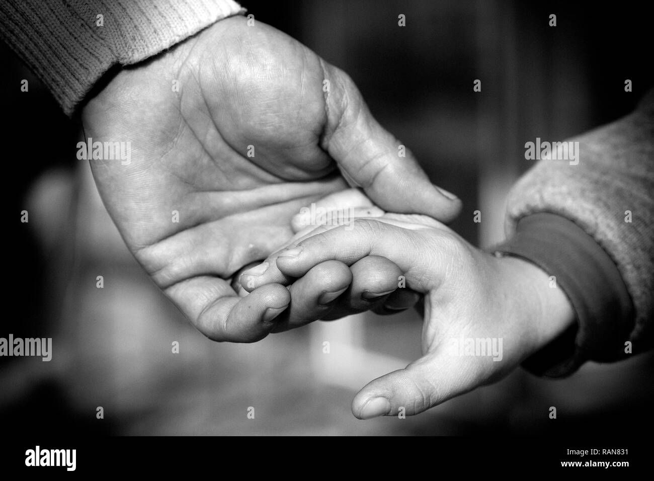 Father Son Holding Hands